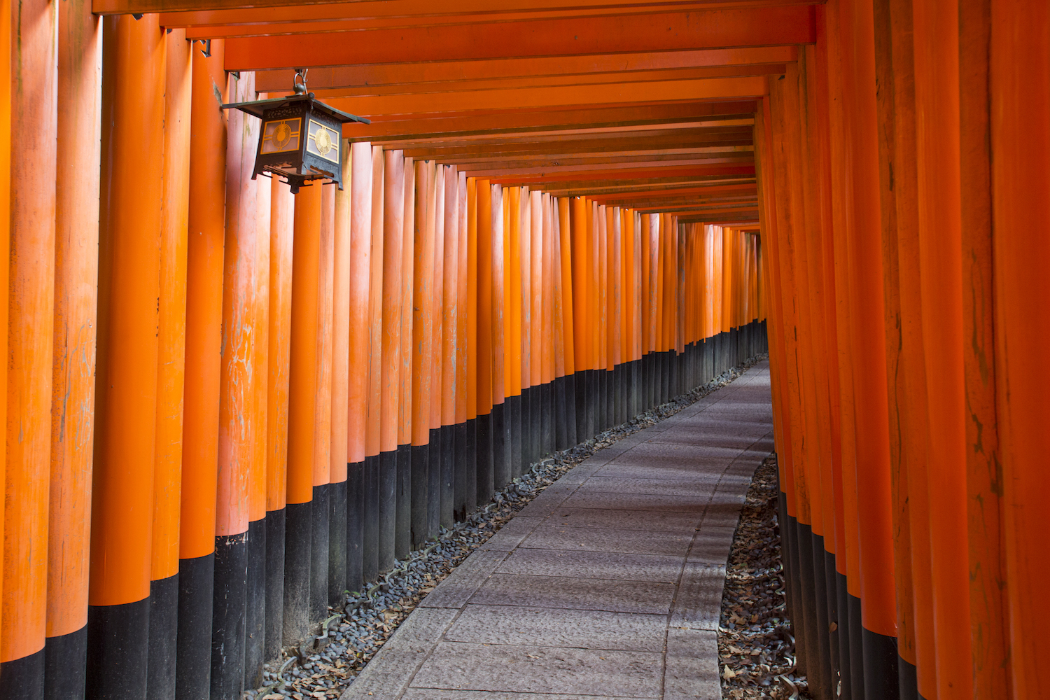 Fushimi-Inari Taisha Wallpapers - Top Free Fushimi-Inari Taisha ...