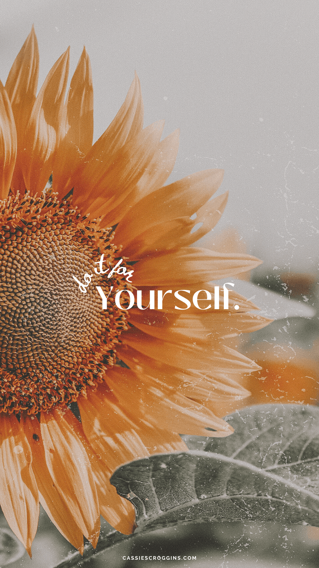 Focus On Yourself Wallpapers - Top Free Focus On Yourself Backgrounds ...