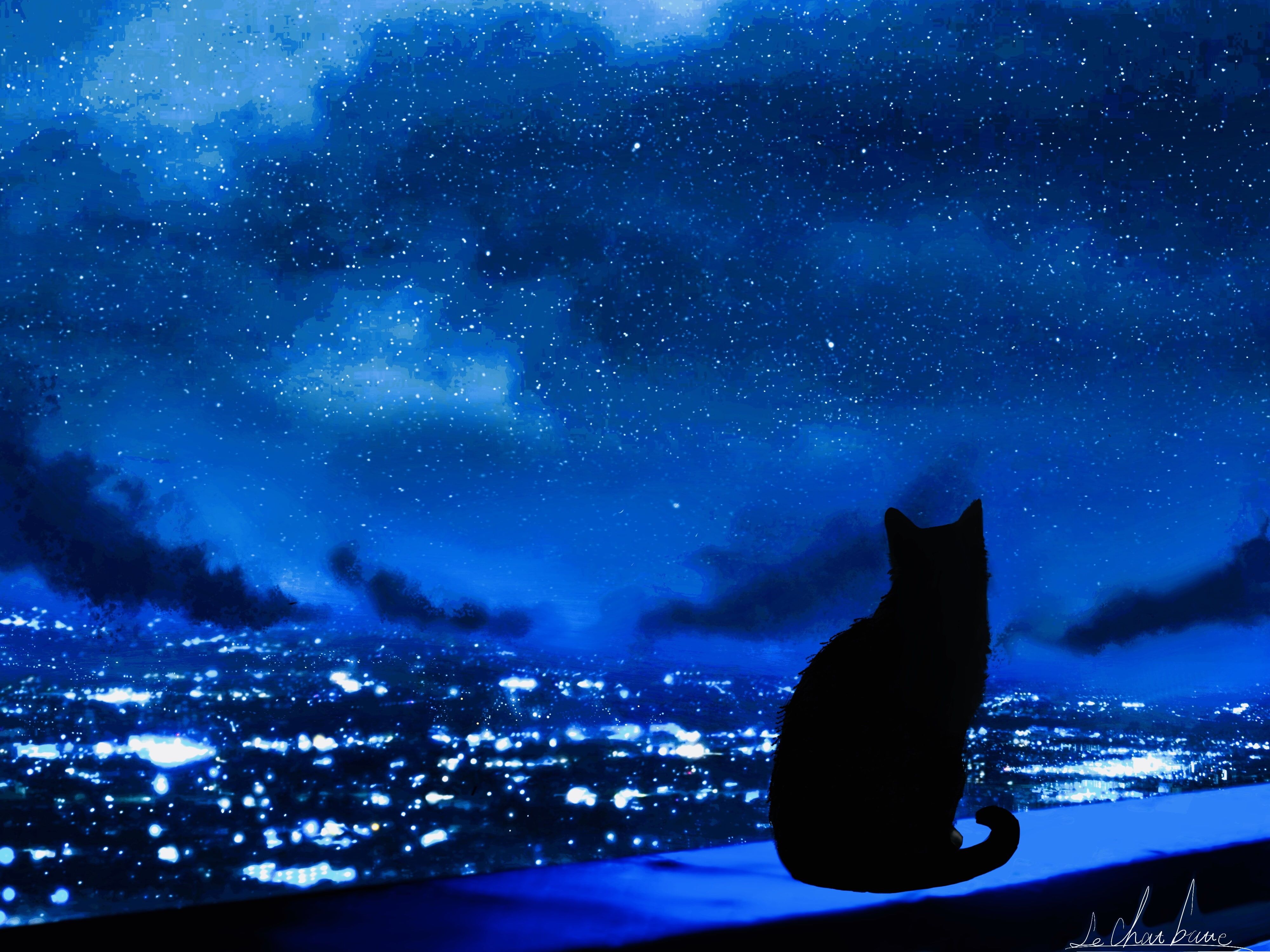 Cat Night Wallpapers - Top Free Cat Night Backgrounds - WallpaperAccess