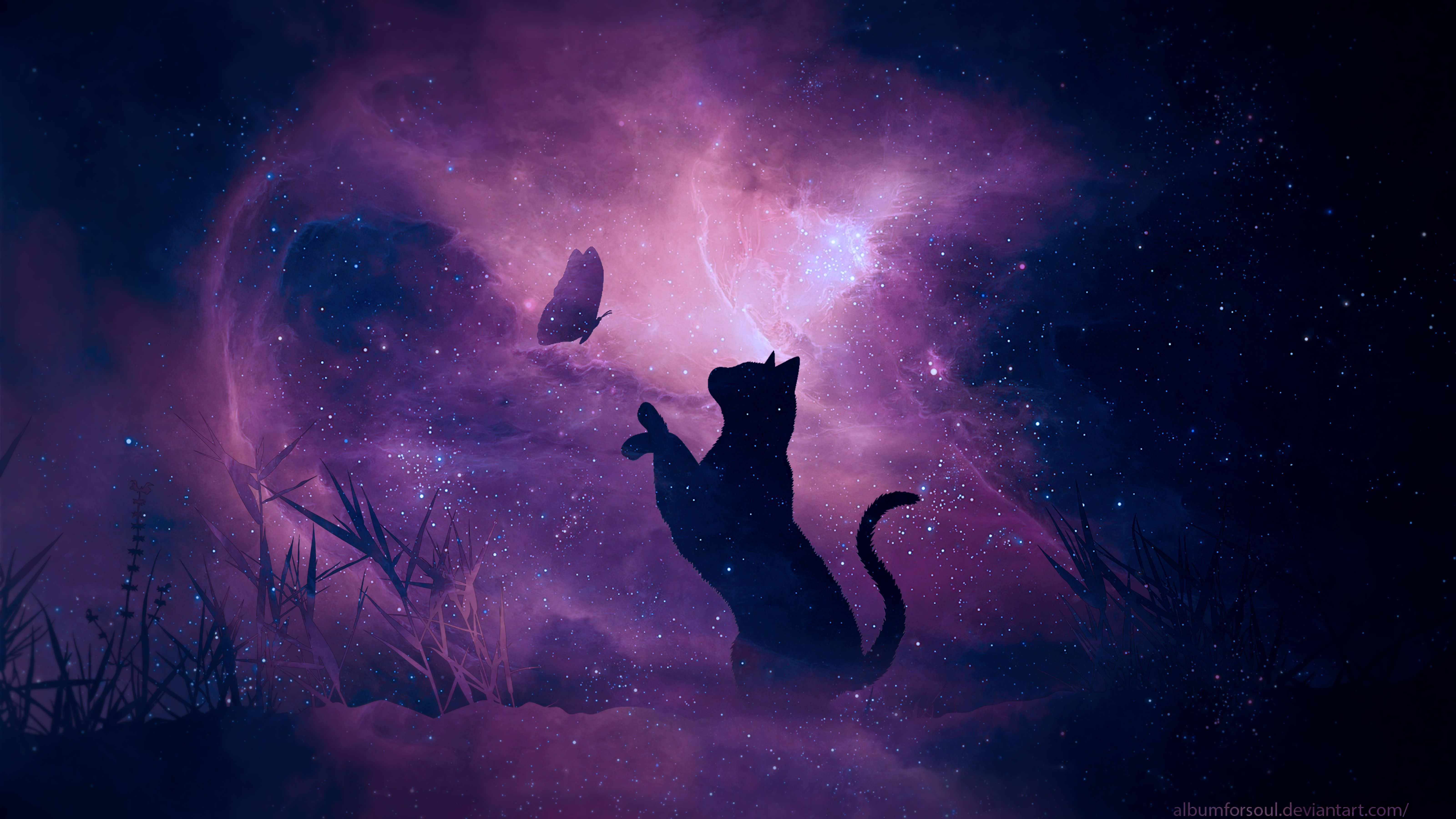 Cat Night Wallpapers - Top Free Cat Night Backgrounds - WallpaperAccess