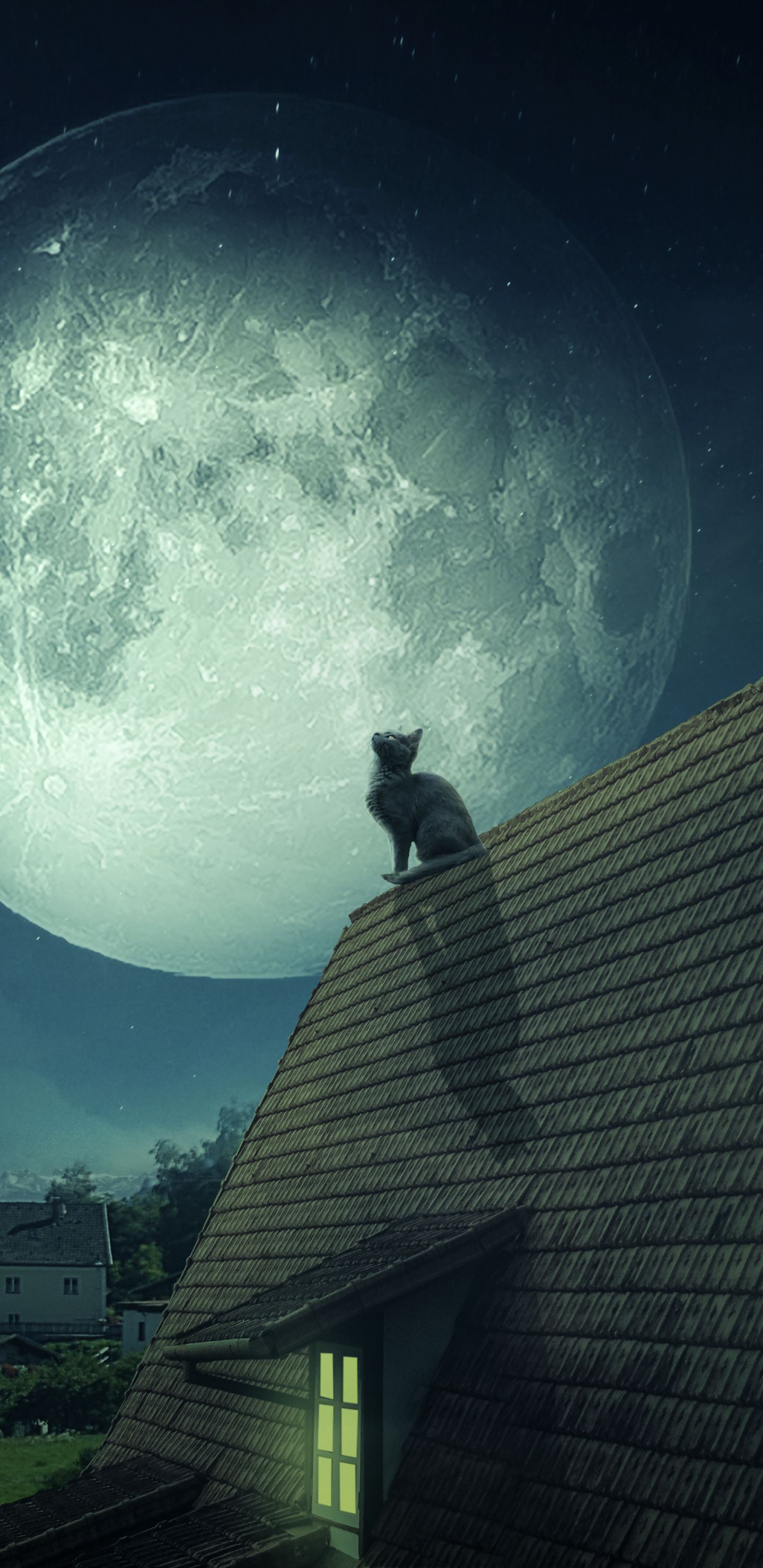 Cat Night Wallpapers - Top Free Cat Night Backgrounds - WallpaperAccess