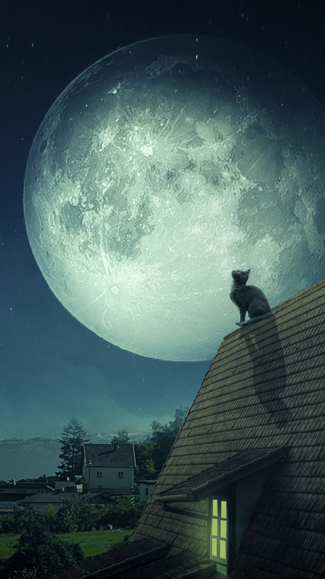 Cat Night Wallpapers - Top Free Cat Night Backgrounds - WallpaperAccess