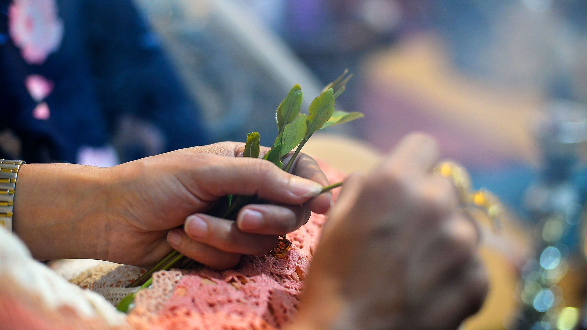 Secret Society Wallpapers - Top Free Secret Society Backgrounds ...