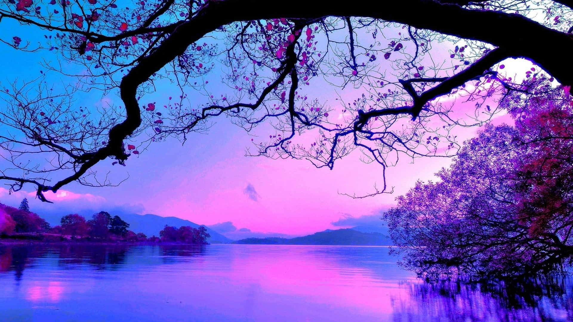 Purple Lake Wallpapers - Top Free Purple Lake Backgrounds - WallpaperAccess