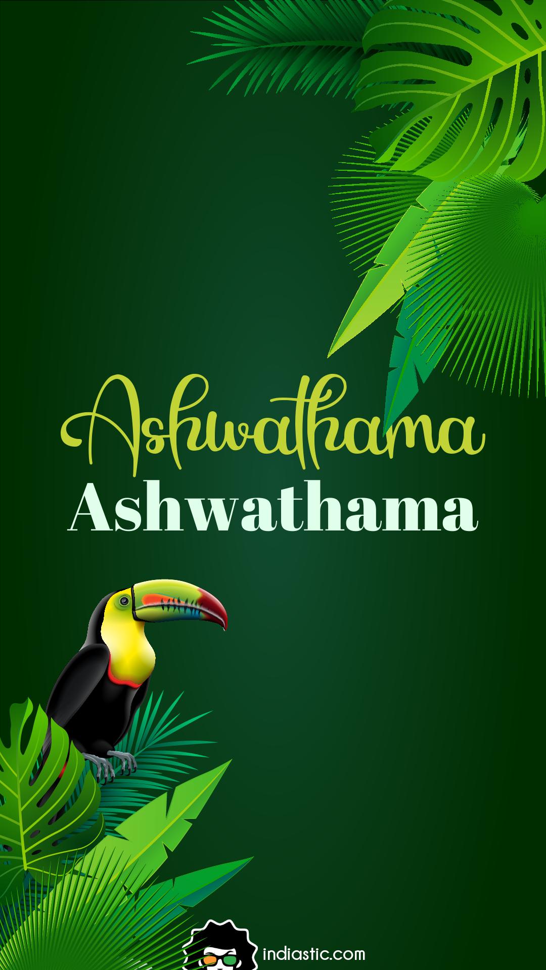 Aswathama Wallpapers - Top Free Aswathama Backgrounds - WallpaperAccess