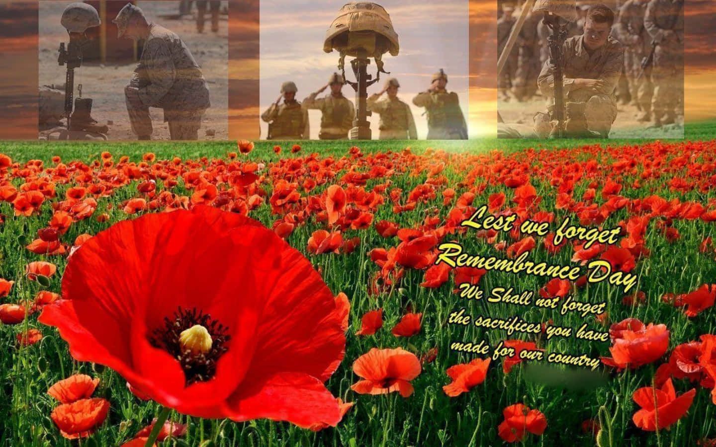 Lest We Forget Wallpapers - Top Free Lest We Forget Backgrounds ...