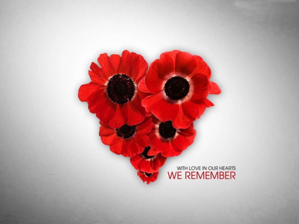 Remembrance Day Wallpapers - Top Free Remembrance Day Backgrounds ...