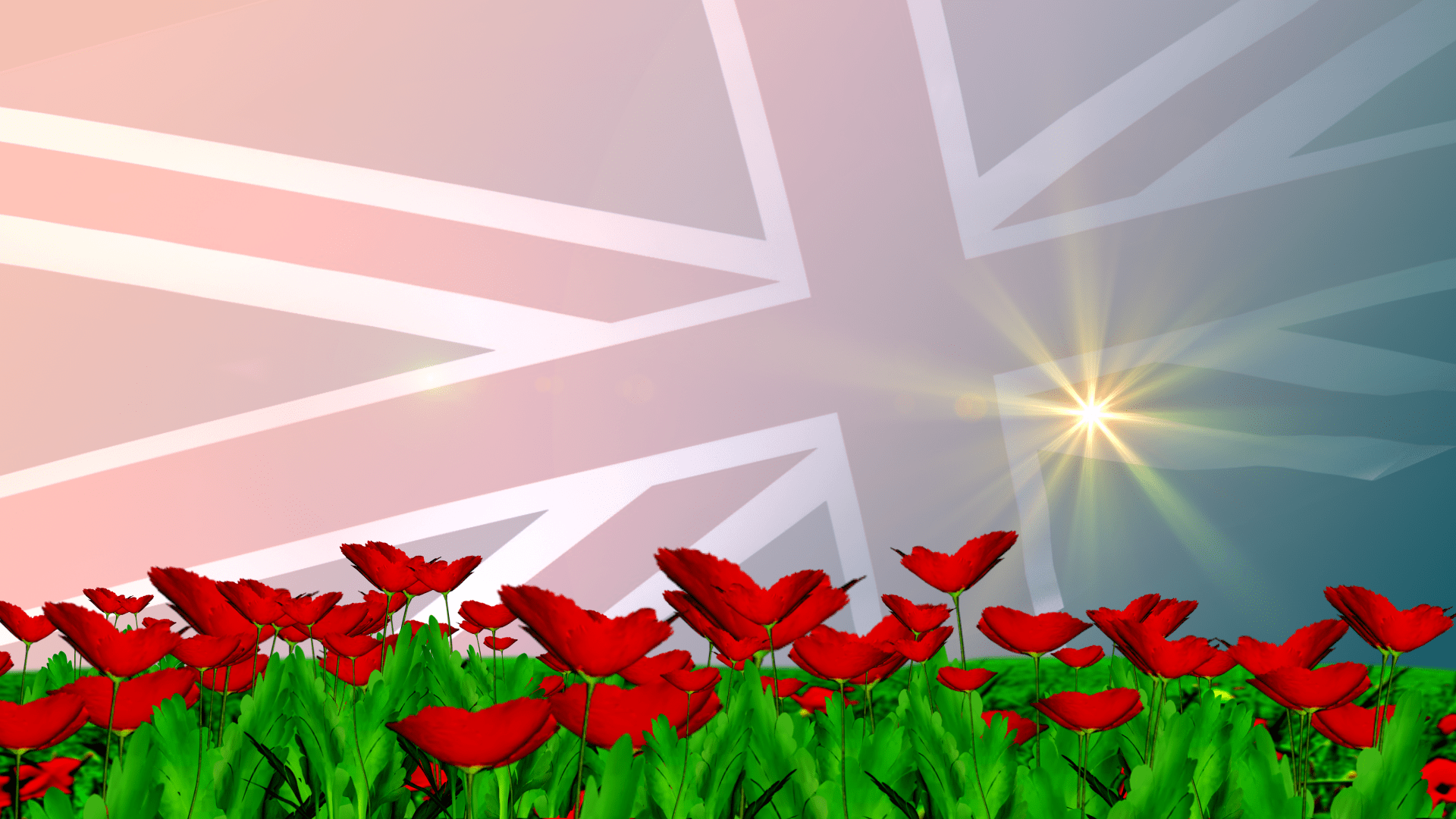 Remembrance Day Wallpapers - Top Free Remembrance Day Backgrounds ...