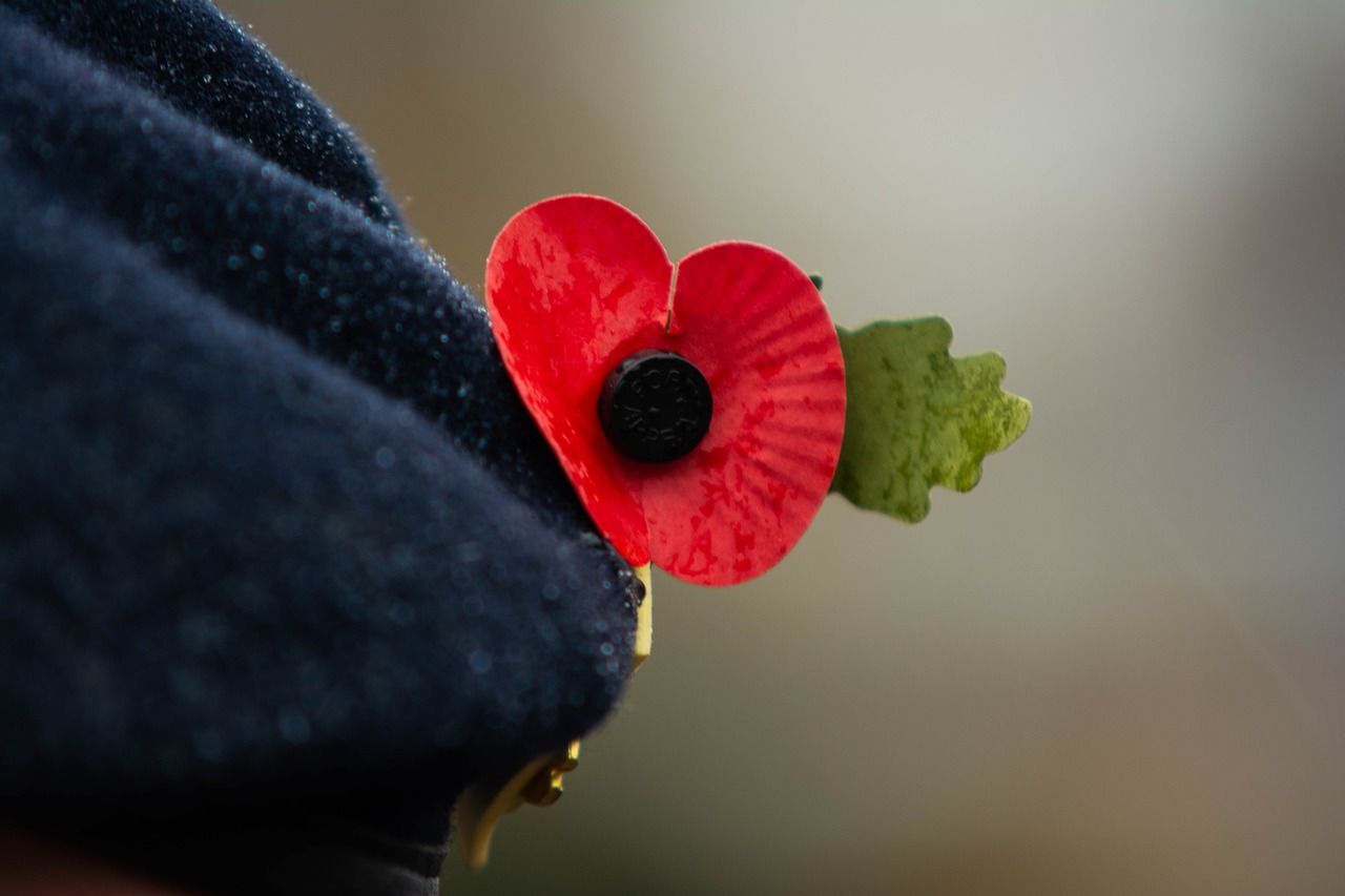 Remembrance Day Wallpapers - Top Free Remembrance Day Backgrounds ...