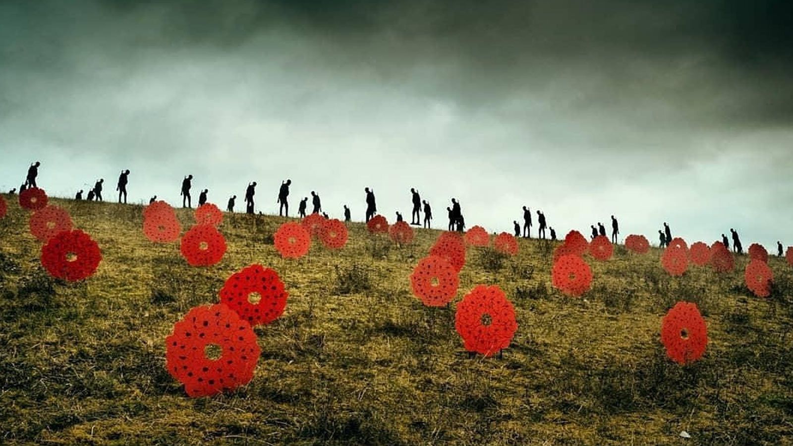 Remembrance Day Wallpapers - Top Free Remembrance Day Backgrounds ...