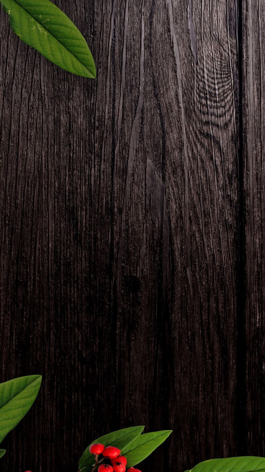 Menu Card Wallpapers - Top Free Menu Card Backgrounds - WallpaperAccess