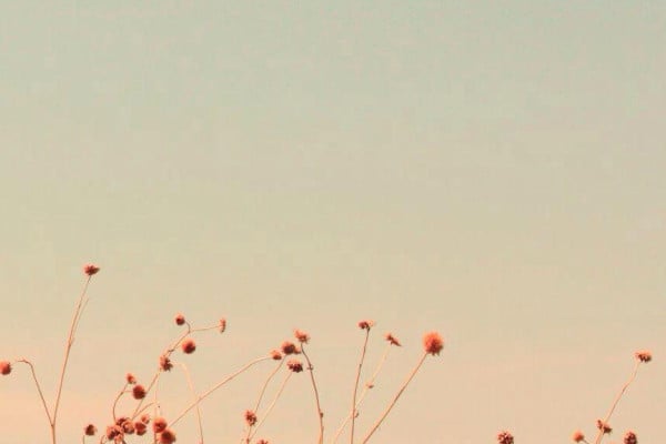 Simple Beautiful Wallpapers - Top Free Simple Beautiful Backgrounds ...