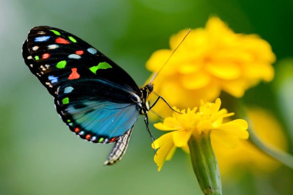 Real Wallpapers - Top Free Real Backgrounds - WallpaperAccess