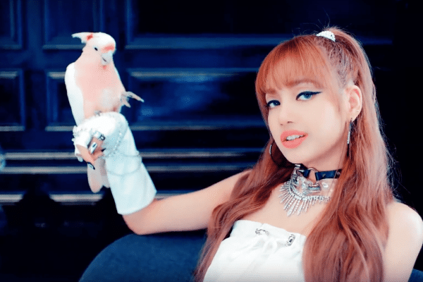 Lisa Cute Computer Wallpapers - Top Free Lisa Cute Computer Backgrounds ...