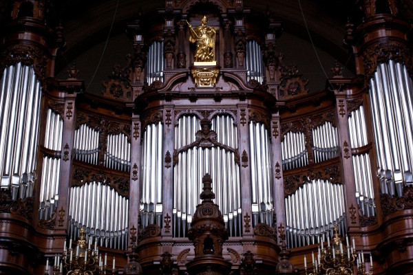 Organ Wallpapers - Top Free Organ Backgrounds - WallpaperAccess