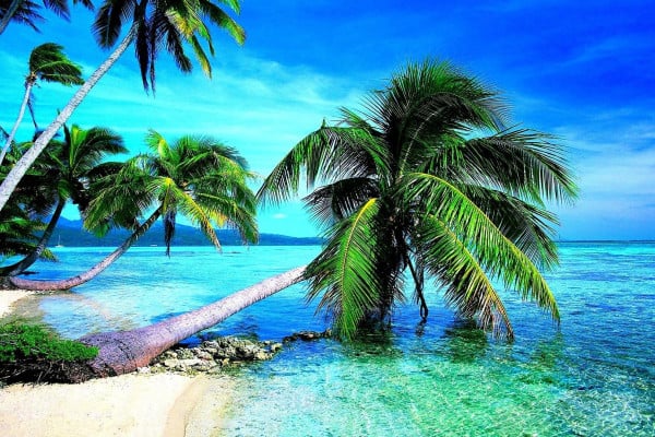 Display Landscape Wallpapers - Top Free Display Landscape Backgrounds ...