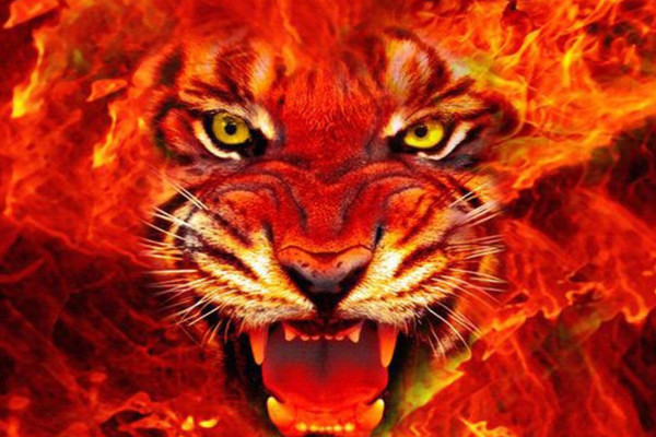 Tiger Spirit Wallpapers - Top Free Tiger Spirit Backgrounds ...