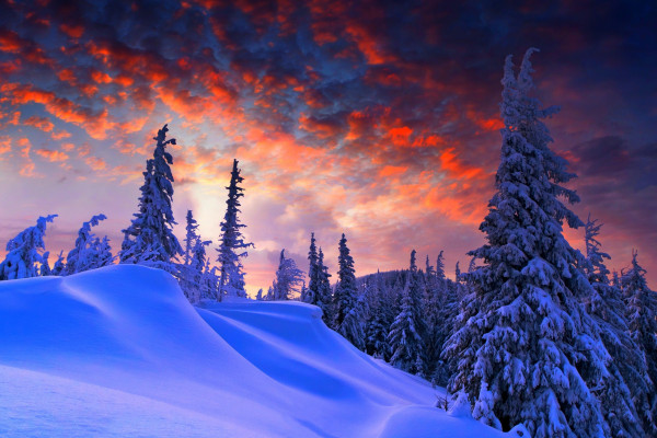 Forest Sunrise Wallpapers - Top Free Forest Sunrise Backgrounds ...