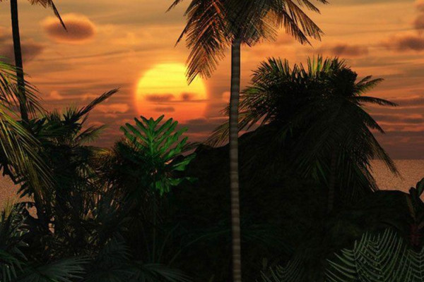 Tropical Art Wallpapers - Top Free Tropical Art Backgrounds ...