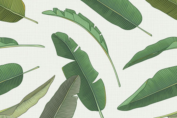 White Leaves Wallpapers - Top Free White Leaves Backgrounds ...