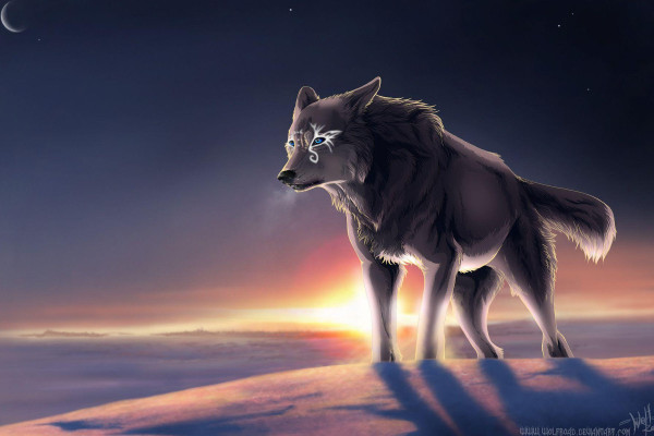 Werewolf Horror Wallpapers - Top Free Werewolf Horror Backgrounds ...