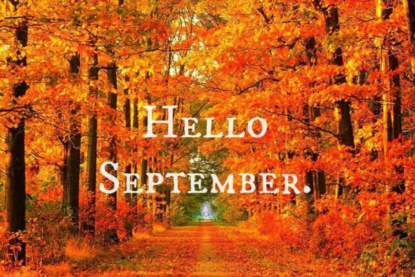 Harry Potter Autumn Wallpapers - Top Free Harry Potter Autumn ...