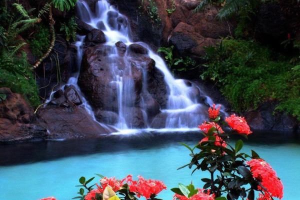 Waterfall Nature Wallpapers - Top Free Waterfall Nature Backgrounds ...