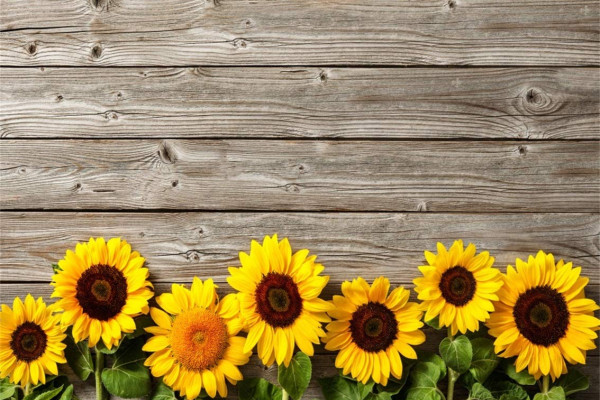 Rustic Valentine Day Wallpapers - Top Free Rustic Valentine Day ...