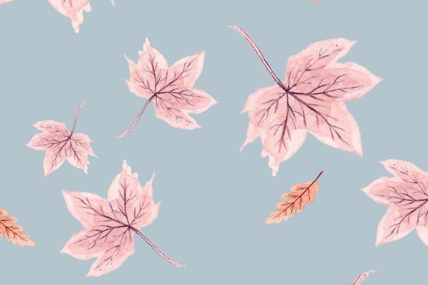 Pink Pumpkin Wallpapers - Top Free Pink Pumpkin Backgrounds ...