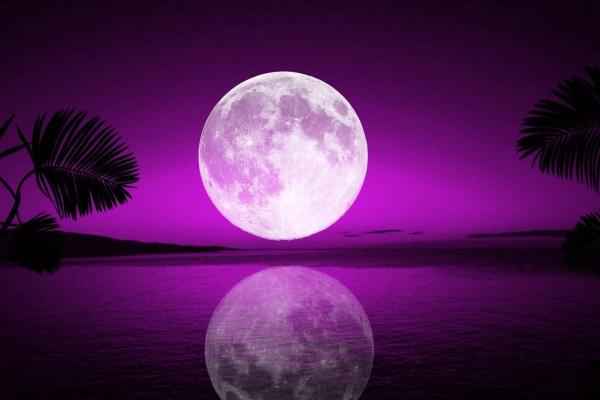Purple Ocean Wallpapers - Top Free Purple Ocean Backgrounds ...
