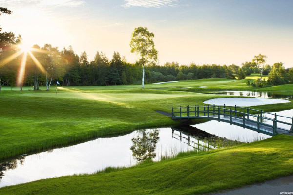 HD Profile Wallpapers - Top Free HD Profile Backgrounds - WallpaperAccess