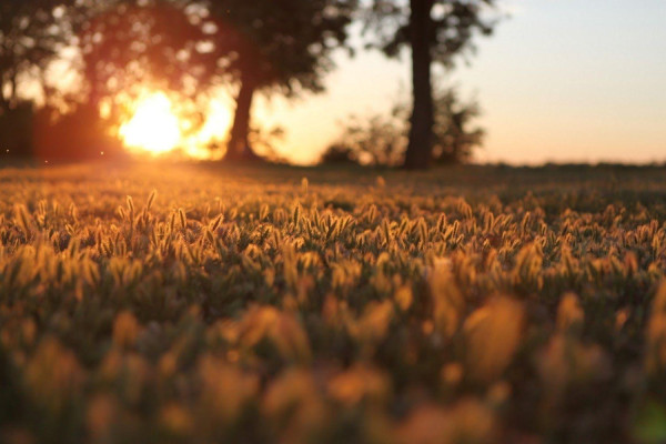 Easy Wallpapers - Top Free Easy Backgrounds - WallpaperAccess