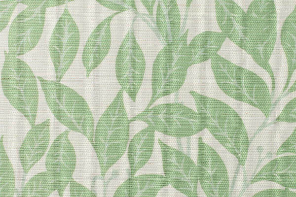 Springfield Wallpapers - Top Free Springfield Backgrounds - WallpaperAccess