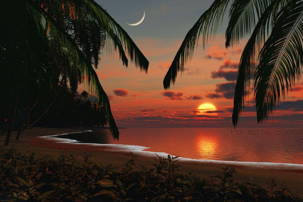 Tropical Island Sunset Wallpapers - Top Free Tropical Island Sunset ...
