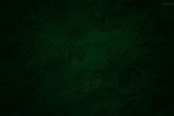 Plain Green Wallpapers - Top Free Plain Green Backgrounds - WallpaperAccess