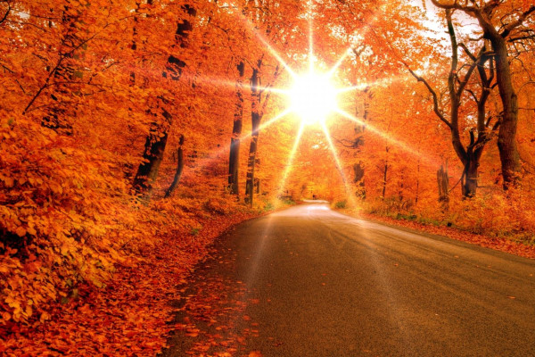 Canada Sunrise HD Wallpapers - Top Free Canada Sunrise HD Backgrounds ...