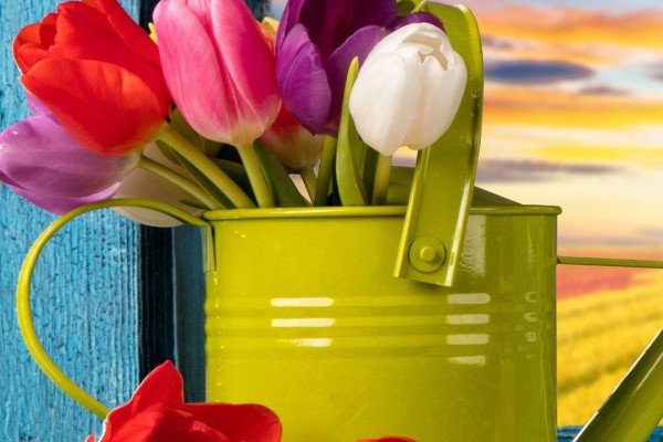 Pastel Spring Computer Wallpapers - Top Free Pastel Spring Computer ...