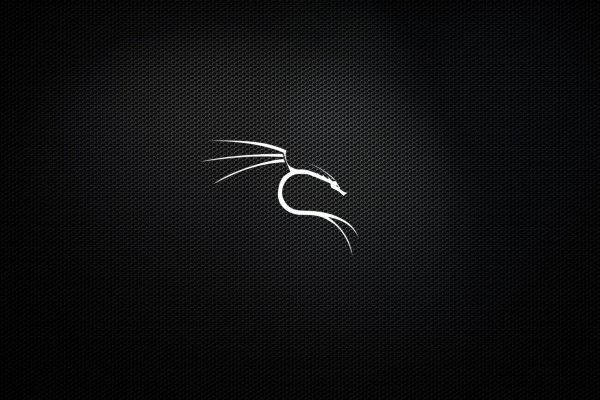 Kali Linux Phone Wallpapers - Top Free Kali Linux Phone Backgrounds ...