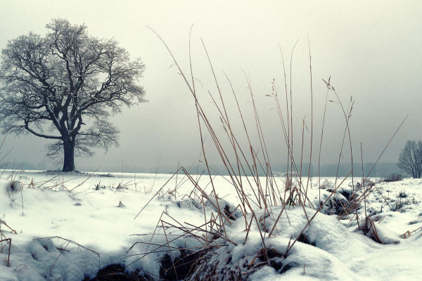 Cold Desktop Wallpapers - Top Free Cold Desktop Backgrounds ...