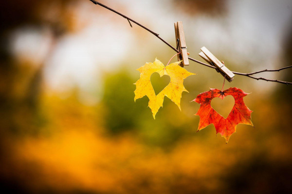 Harry Potter Autumn Wallpapers - Top Free Harry Potter Autumn ...