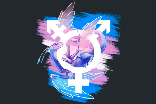 Trans Flag Wallpapers - Top Free Trans Flag Backgrounds - WallpaperAccess