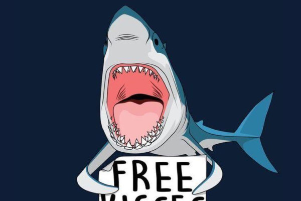 Cool Shark Wallpapers - Top Free Cool Shark Backgrounds - WallpaperAccess