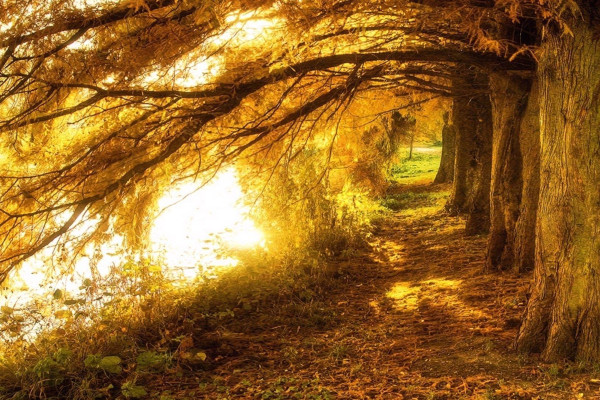 June Nature Wallpapers - Top Free June Nature Backgrounds - WallpaperAccess