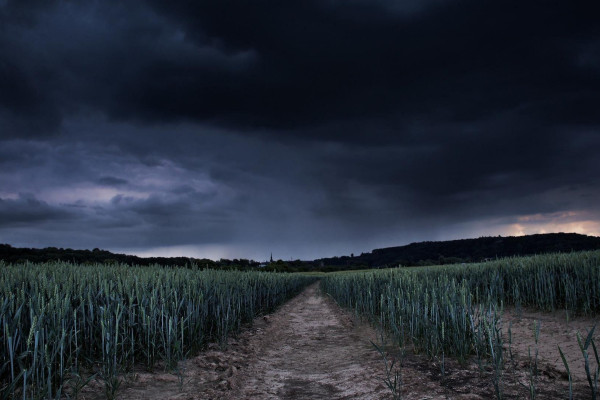 Animated Rain Wallpapers - Top Free Animated Rain Backgrounds ...