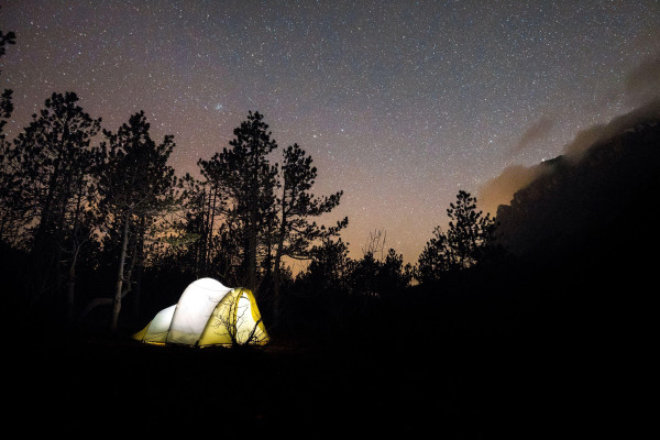 Ghost Forest Night Wallpapers - Top Free Ghost Forest Night Backgrounds ...