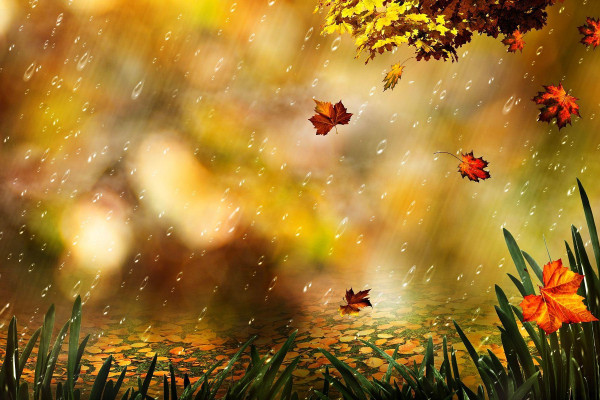 Weather Wallpapers - Top Free Weather Backgrounds - WallpaperAccess