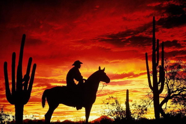 Days Before Rodeo Wallpapers - Top Free Days Before Rodeo Backgrounds ...