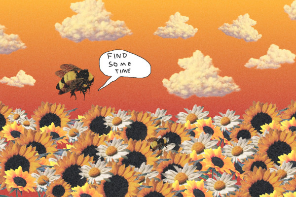 Tyler The Creator Flower Boy Wallpapers - Top Free Tyler The Creator ...