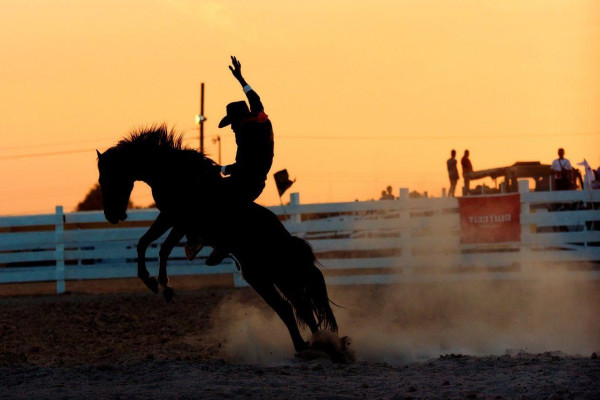 Horse Racing Wallpapers - Top Free Horse Racing Backgrounds ...