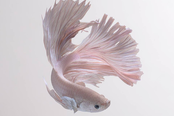 Be Happy iPhone Wallpapers - Top Free Be Happy iPhone Backgrounds ...